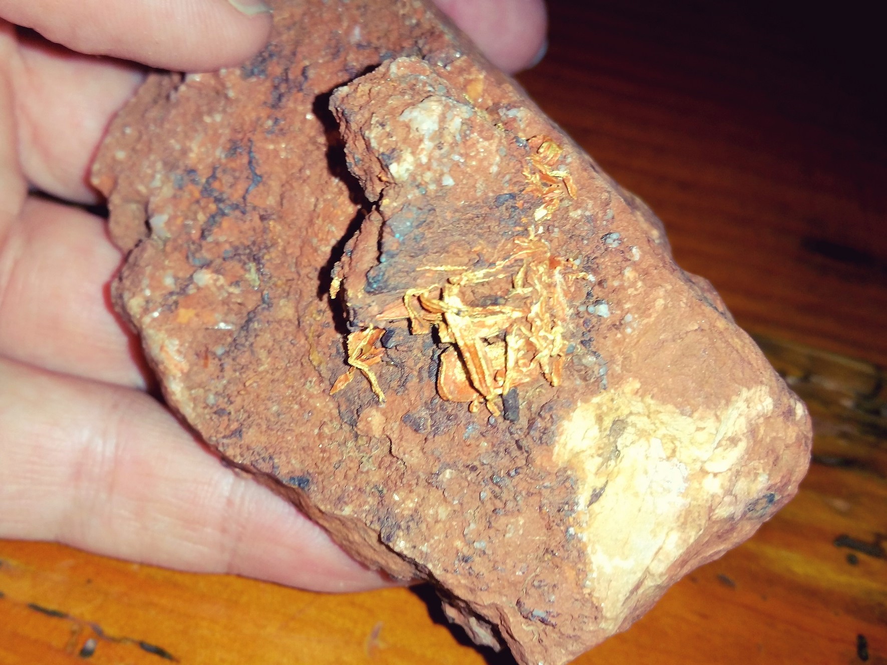 How to Use a Metal Detector to Find Gold - Prospector World